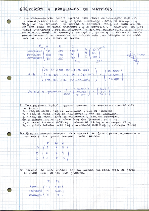 CASTELLANO - EJERCICIOS EXAMEN MATRICES RESUELTOS.pdf