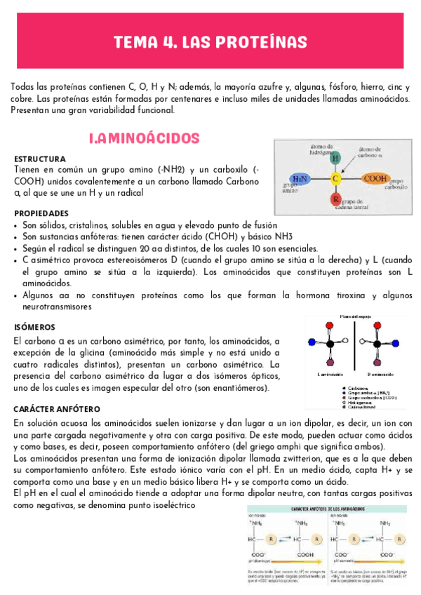 TEMA-4.-LAS-PROTEINAS.pdf