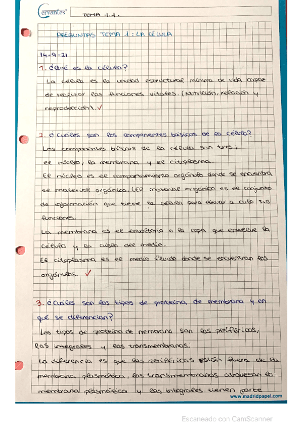 actividades-T.-1-FPG.pdf