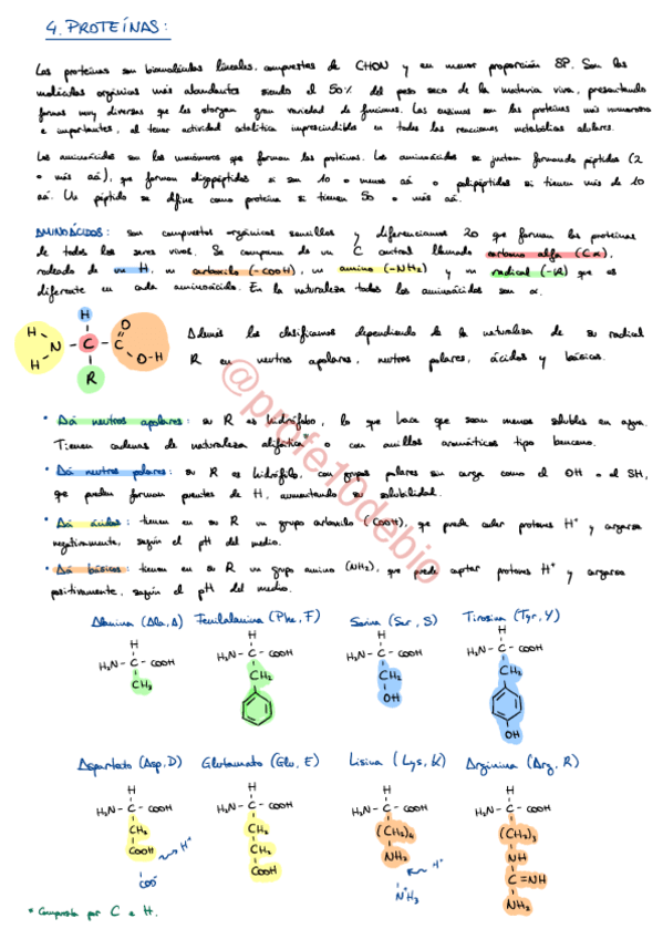 T4.-Proteinas.pdf
