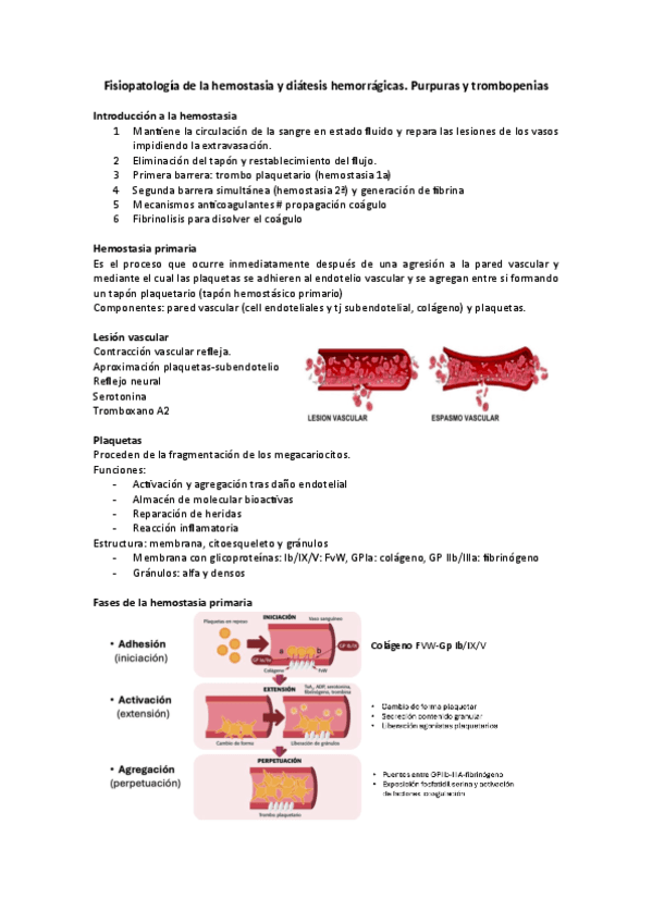 Fisiopatologia-de-la-hemostasia-y-diatesis-hemorragicas.pdf