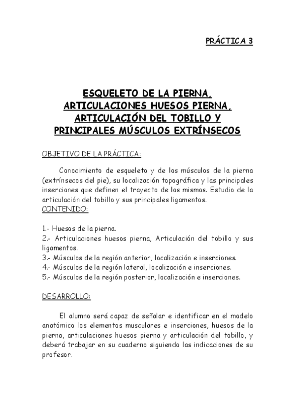 practica3.pdf