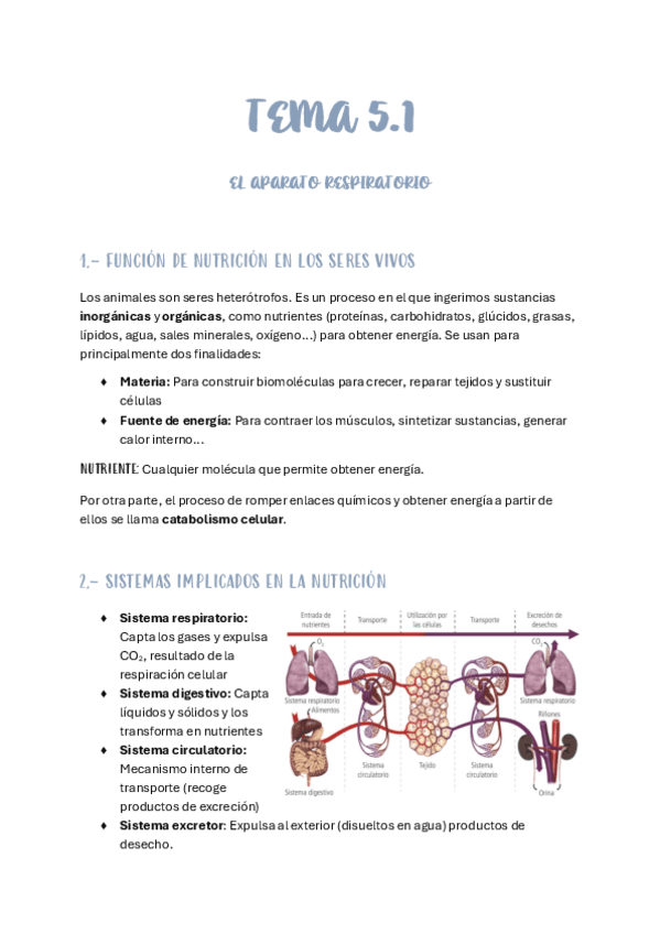 EL-APARATO-RESPIRATORIO-BIOLOGIA.pdf