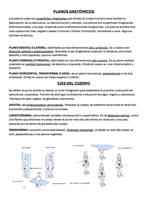 Ejes-y-planos.pdf