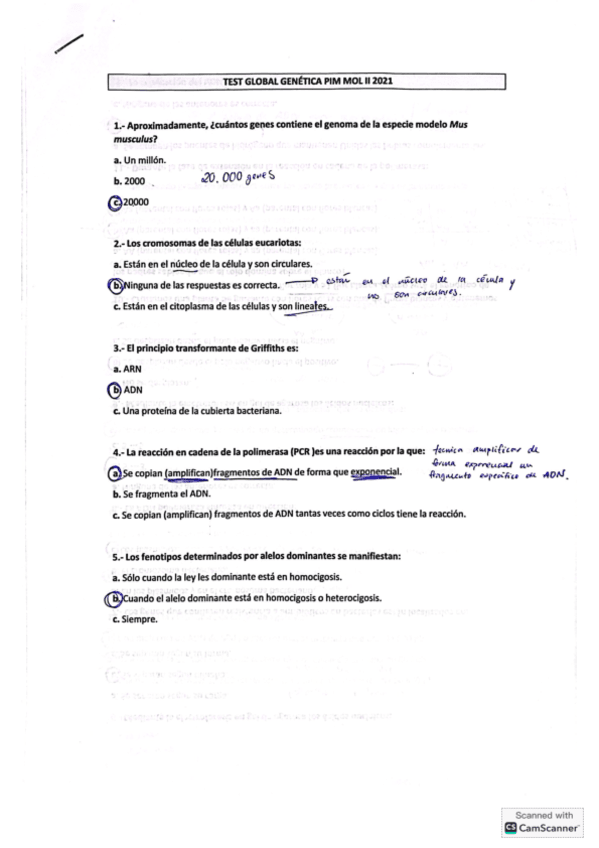 Recopilación Test PIM MOL II.pdf