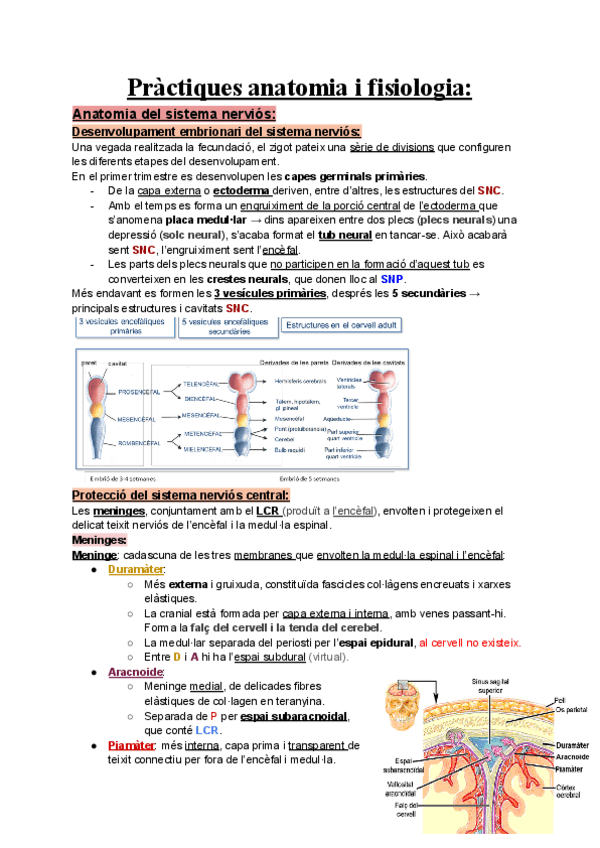 practiques-fisio.pdf