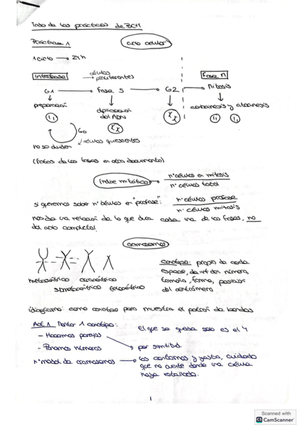 MEGA-RESUMEN-DE-TODAS-LAS-PRACTICAS-CON-ESQUEMAS-Y-TRUCOS.pdf
