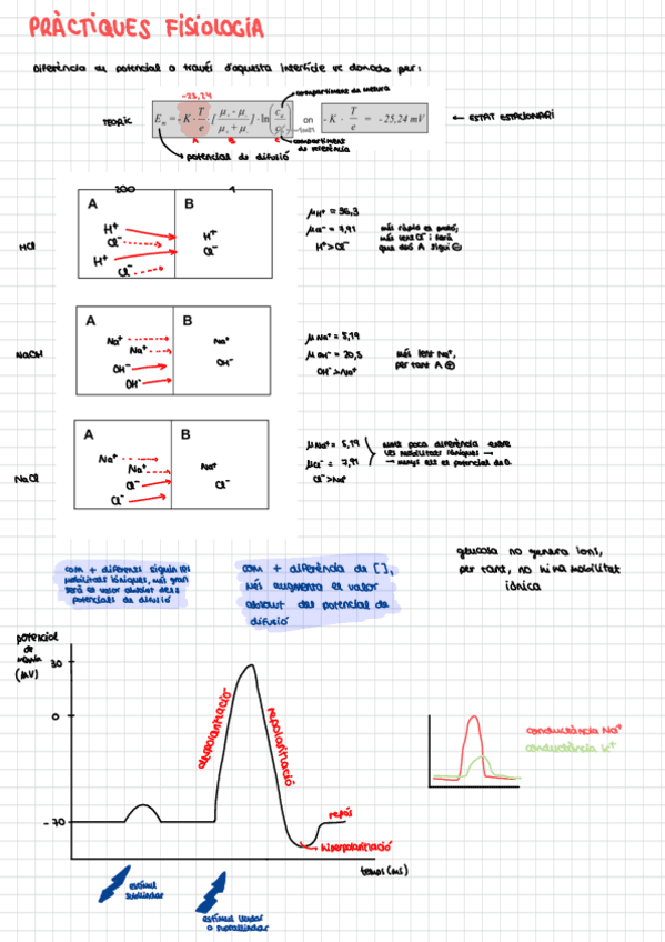 Practiques-Fisiologia.pdf