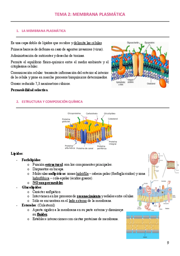 Tema-2-Membrana-plasmatica.pdf