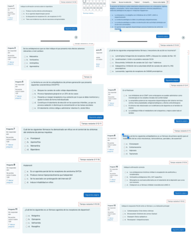 Cuestionario-SNC.pdf