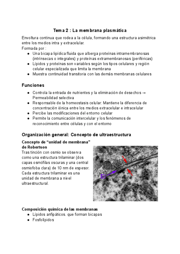Tema-2--La-membrana-plasmatica.pdf