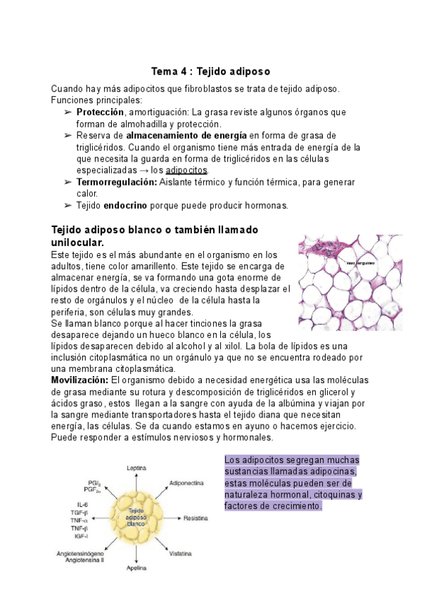 Tema-4--Tejido-adiposo.pdf