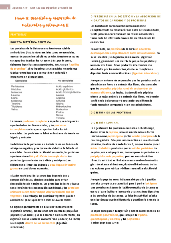 tema-18-ap-digest-fisio.pdf