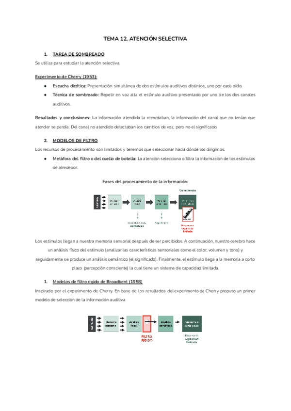 Tema 12 Atencion Selectiva Pdf