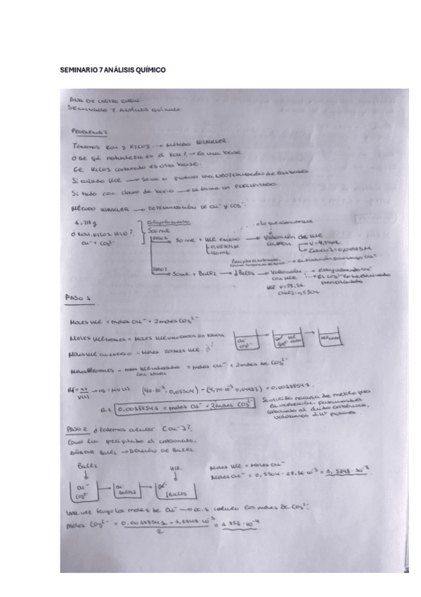 SEMINARIO-7-ANALISIS-QUIMICO.pdf