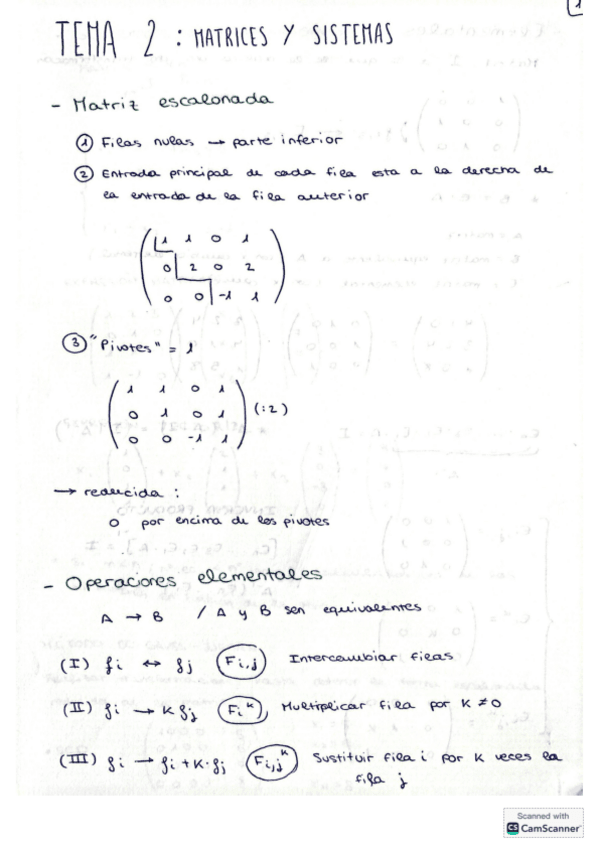 Matrices-y-sistemas-de-ecuaciones.pdf