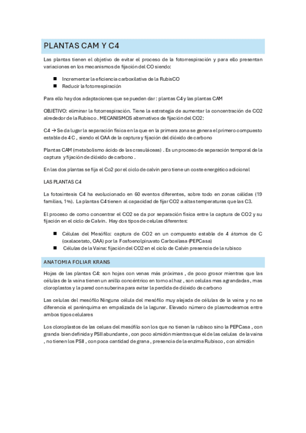 PLANTAS-CAM-Y-C4.pdf