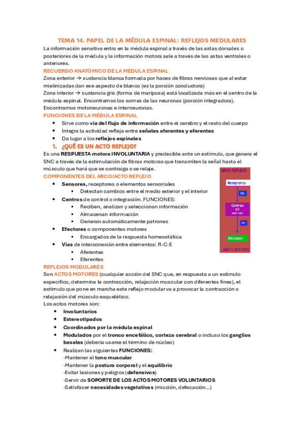 Tema 14 Fisiologia Animal Pdf