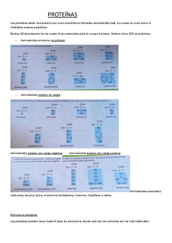 TEMA-1.-Proteinas.pdf