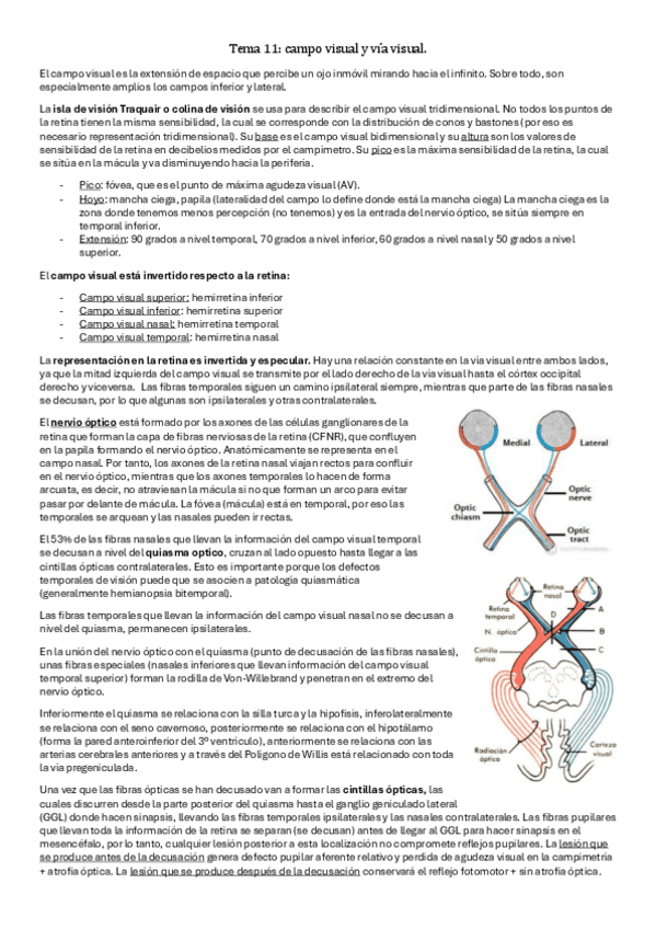 Tema-11-campo-visual-y-via-visual..pdf