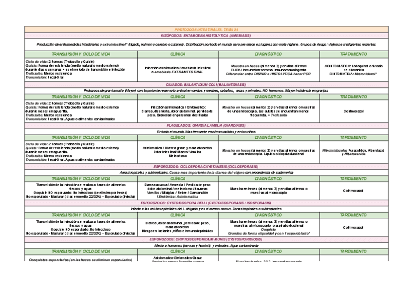 TEMA-24.pdf