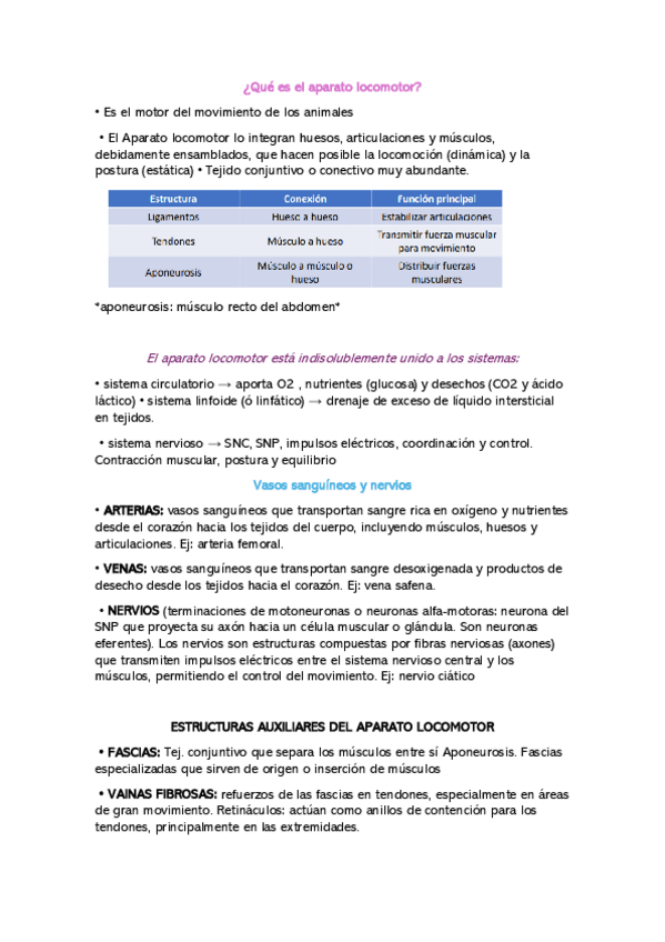 MIOLOGIA-Introduccion-al-aparato-locomotor.pdf MIOLOGIA-Introduccion-al-aparato-locomotor.pdf