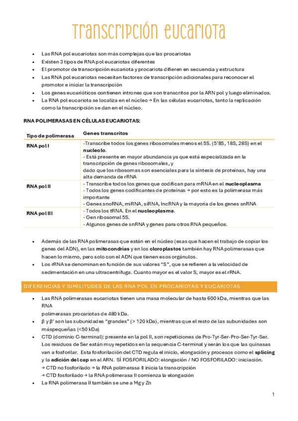 t5-Transcripcion-eucariota.pdf