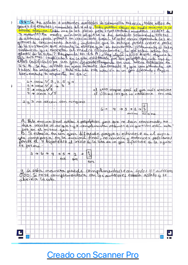 Problemas-11-y-12.pdf