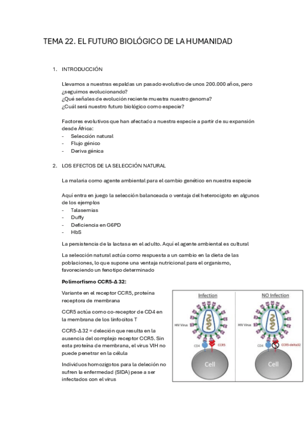 Tema-22.-Terminado.pdf