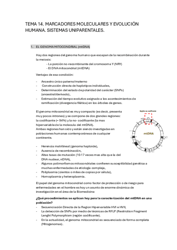 Tema-14.-Terminado.pdf