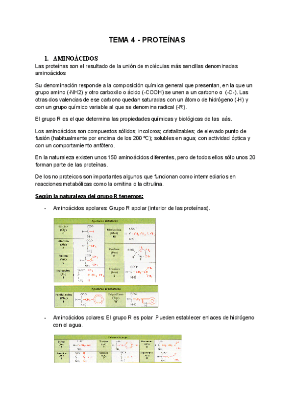 Tema-4-proteinas.pdf