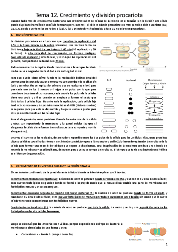 T12.-Crecimiento-y-division-procariota.pdf