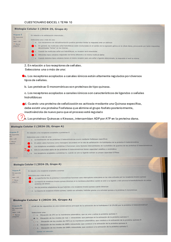 CUESTIONARIO-BIOCEL-I-TEMA-10.pdf