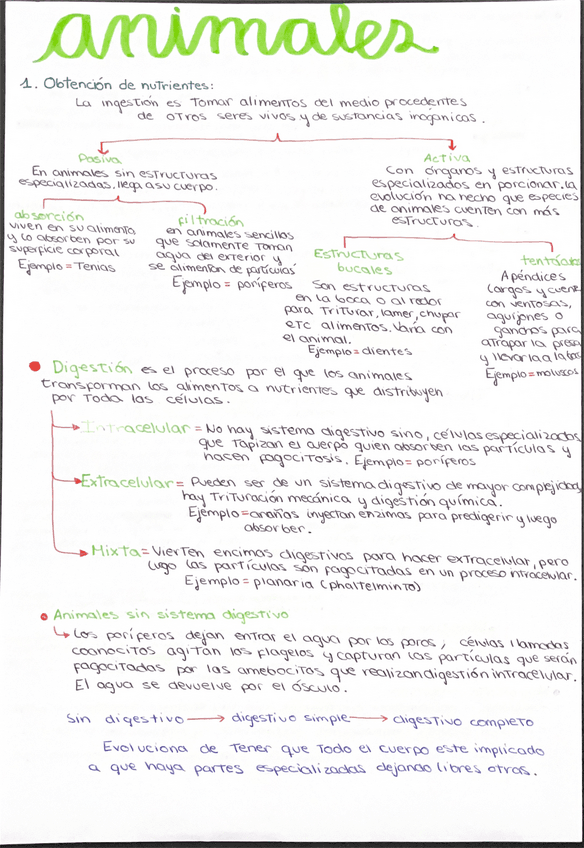 biologia-fisiologia-animales-1bach.pdf