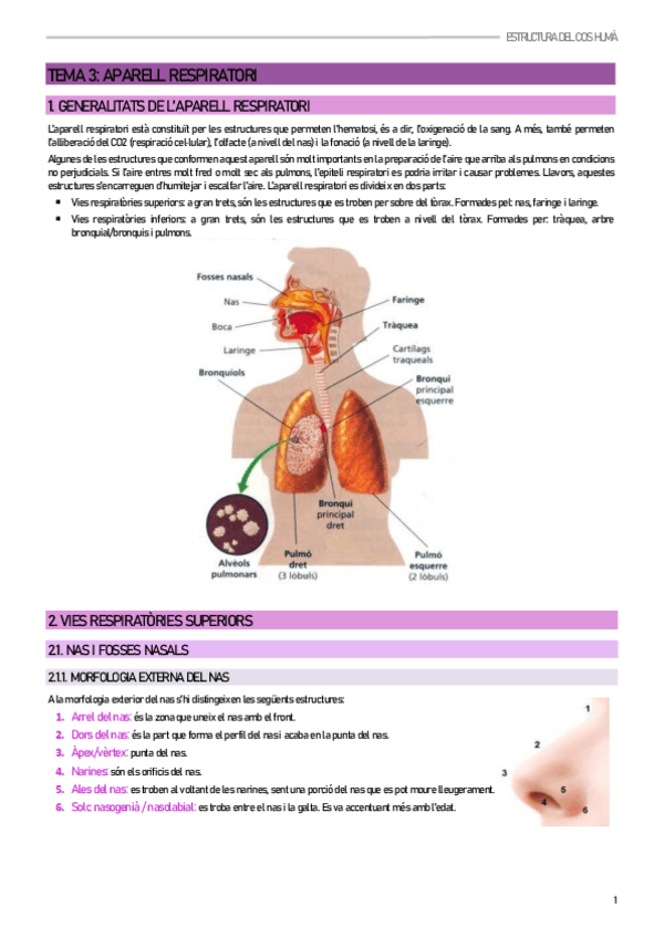 ECH-TEMA-3-APARELL-RESPIRATORI.pdf