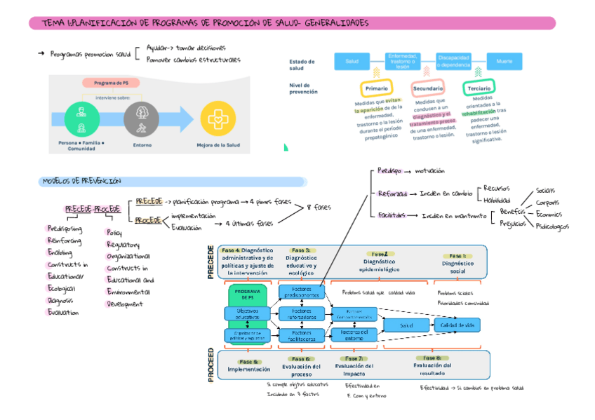 Resumen/Esquemas completos todos Temas.pdf