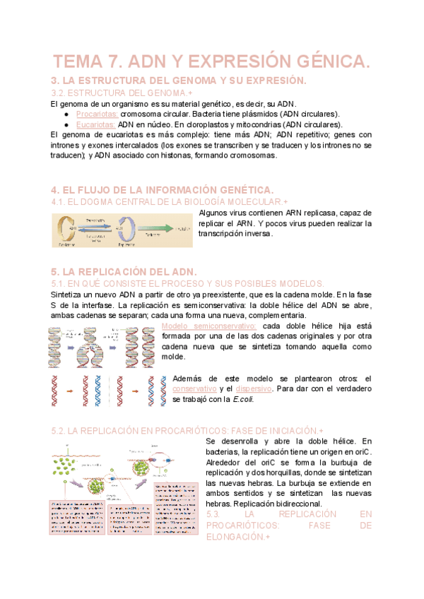 tema-7-ADN-y-expresion-genica.pdf