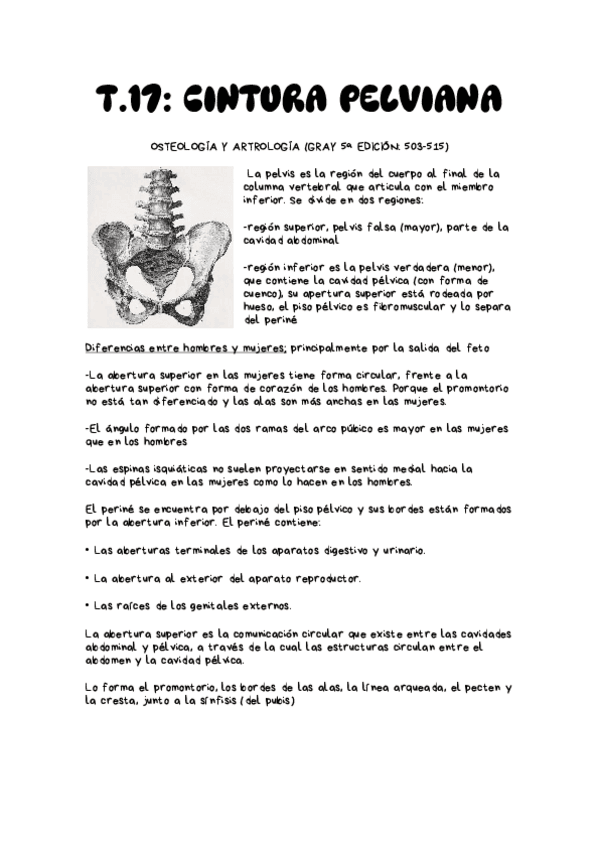 T17-CINTURA-PELVIANA-anato-I-24-5.pdf