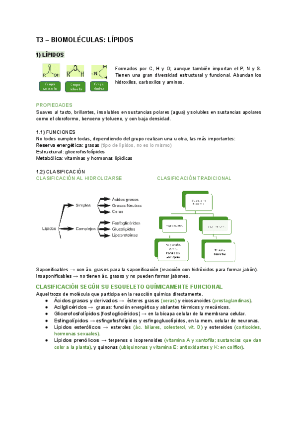 T3-BIOMOLECULAS-LIPIDOS.pdf