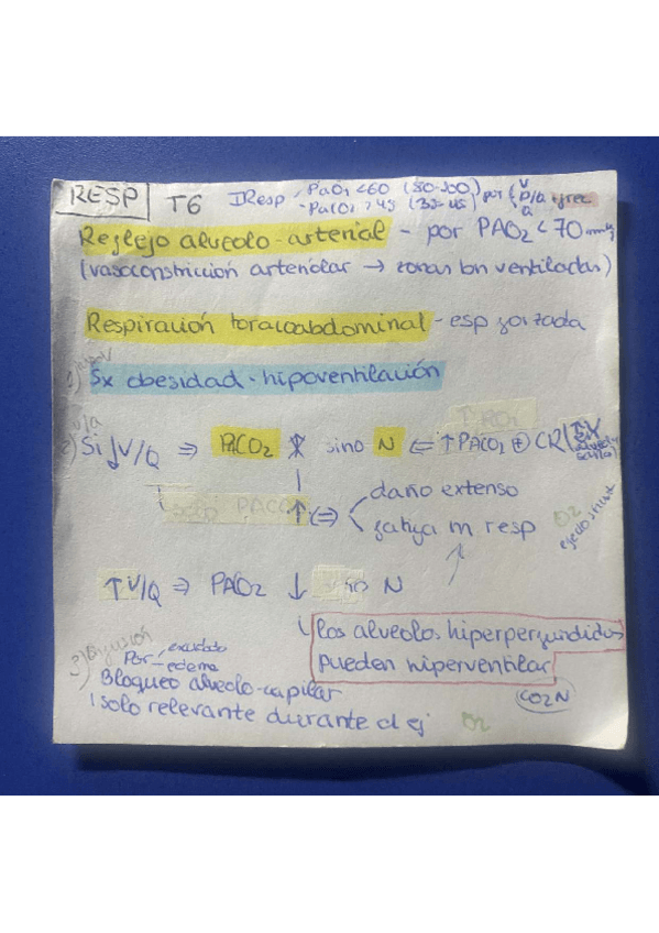 Esquemas-PG-Aparato-Respiratorio.-Temas-6-10.pdf