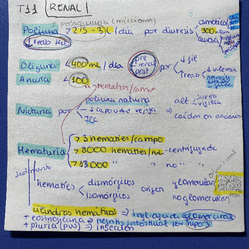 Esquemas-PG-Renal-Tema-11-15.pdf