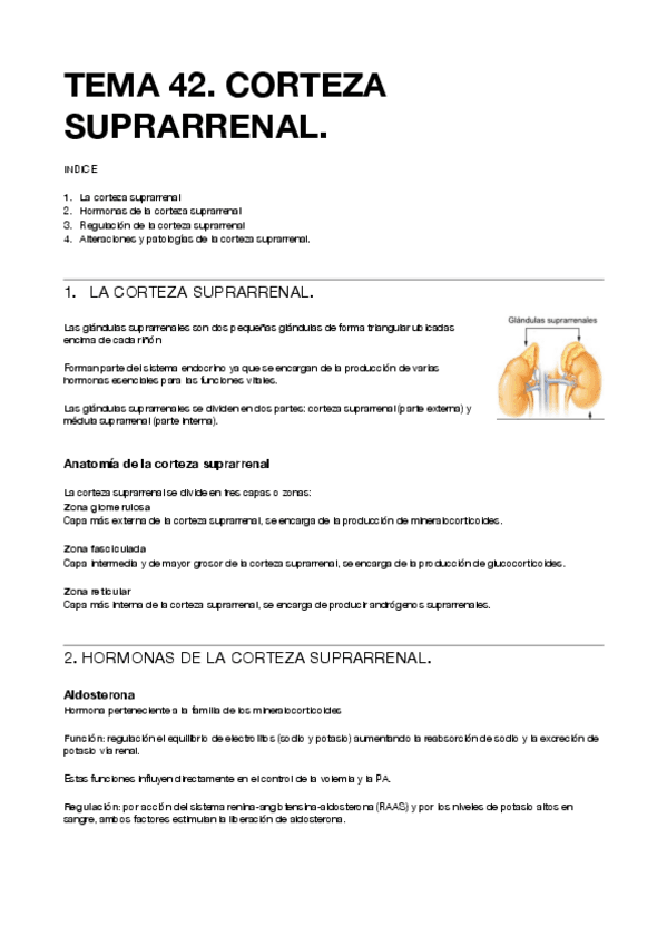 T42-Corteza-suprarrenal.pdf
