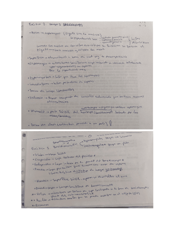 Apuntes de Applied technologies I