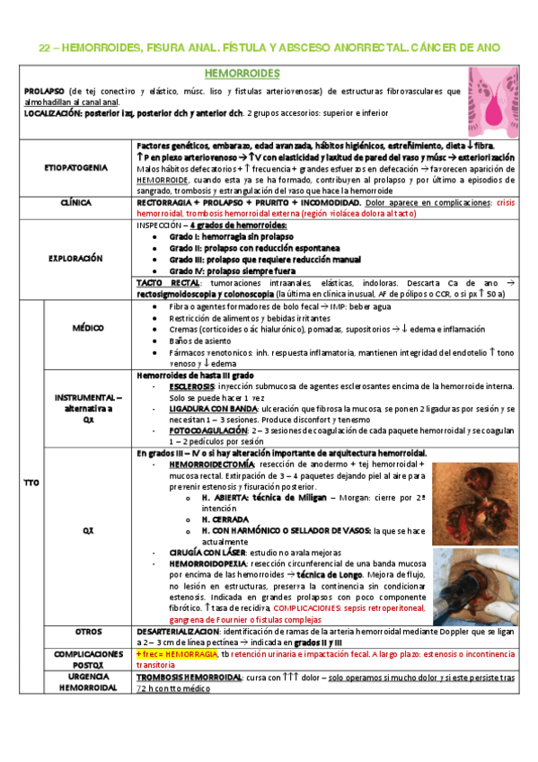 22-HEMORROIDES.-FISURA-ANAL.-FISTULA-Y-ABSCESO-ANORRECTAL.-CA-de-ANO.pdf