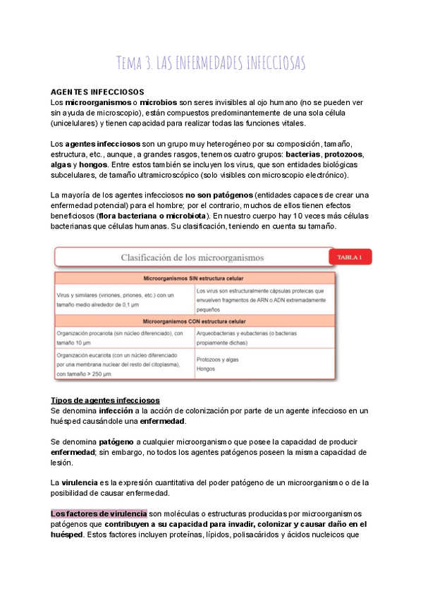 Resumen-Tema-3--Actividades-FG.pdf.pdf