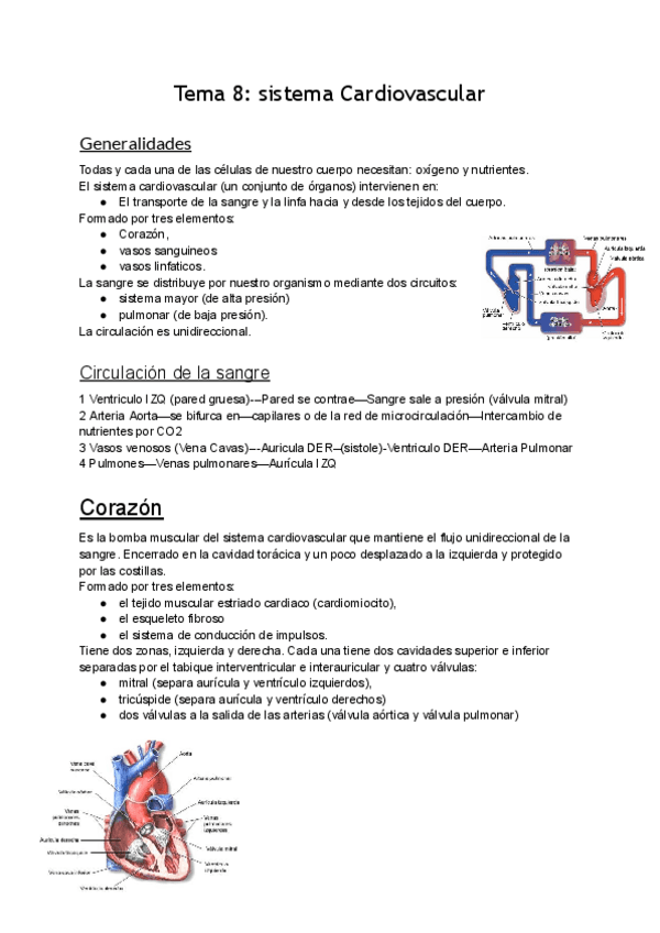 8-Sist-CARDIO.pdf
