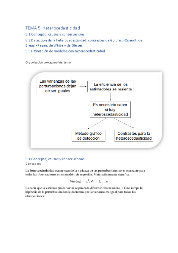 Econometria-tema-5-Explicado.pdf