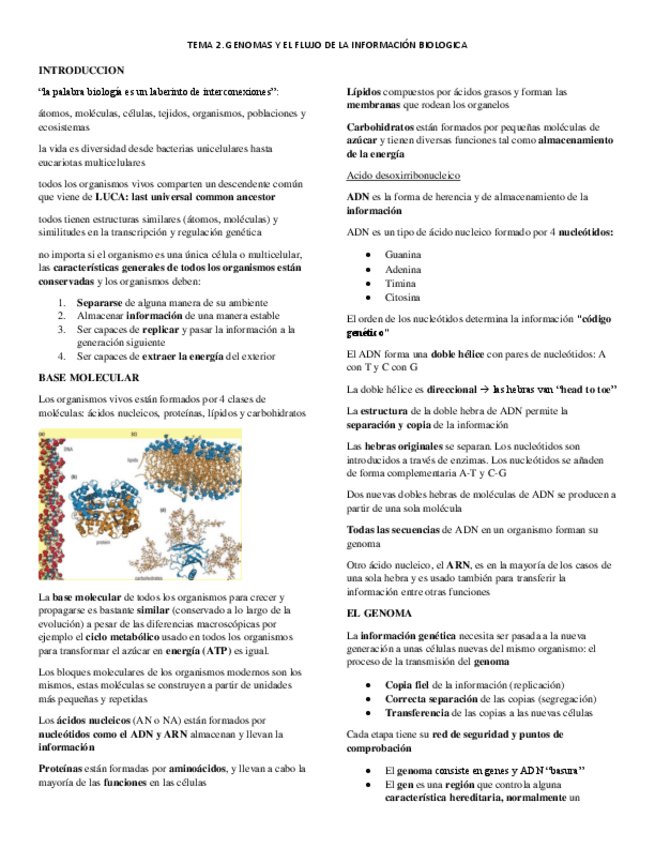 TEMA-2.-BIO-MOLECULAR.pdf