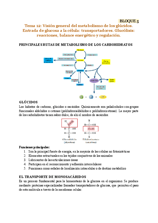 BLOQUE-5.-Bioquimica.pdf