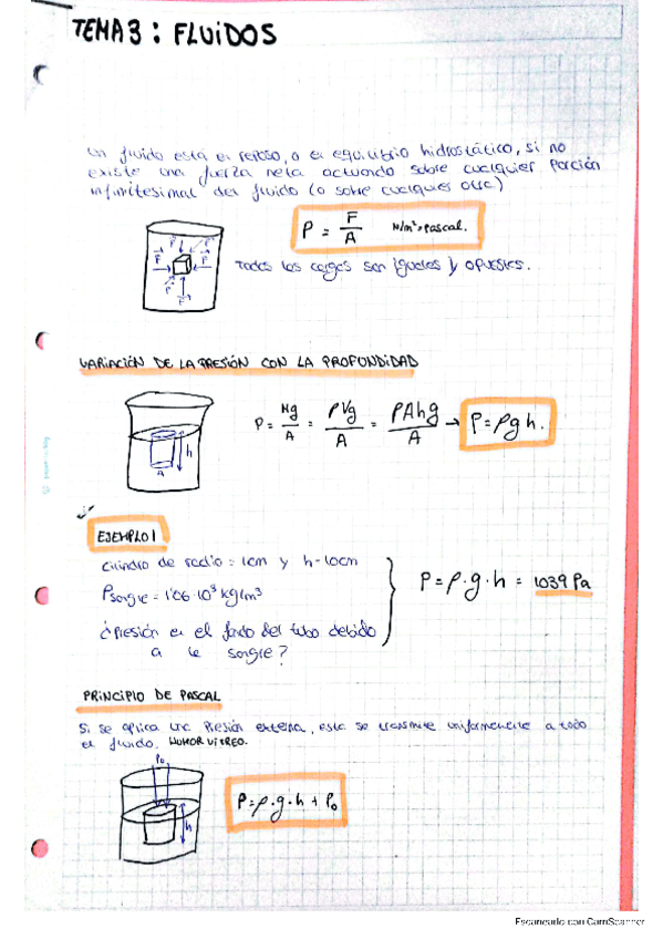 TEMA-3-FLUIDOS.pdf